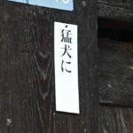 大事なところは赤で書いちゃダメ！？ – インクの退色の実験 – kuralab.（クララボ）ヴィジュアルデザインゼミ